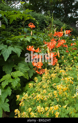 Annapolis Royal Historic Gardens, Nova Scotia, Canada Stock Photo - Alamy