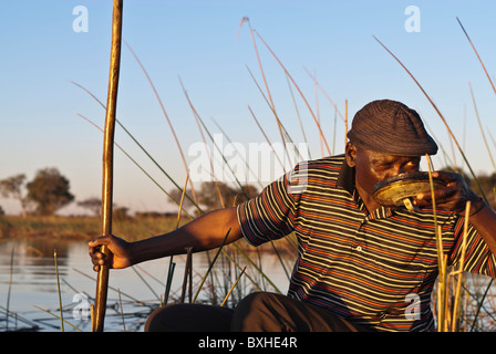 Mokoro poler. Okavango delta, Botswana, Africa Stock Photo - Alamy