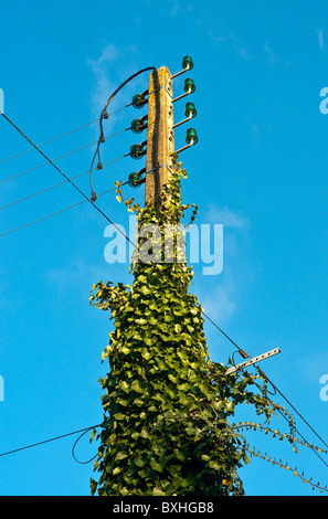 Precast concrete telephone post and wires - France Stock Photo - Alamy