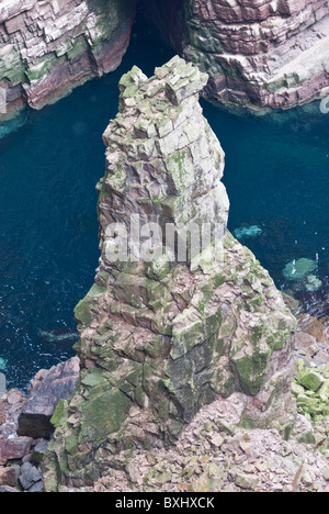 Handa Island Sea Cliffs, Sutherland, Scotland Stock Photo: 8353030 - Alamy