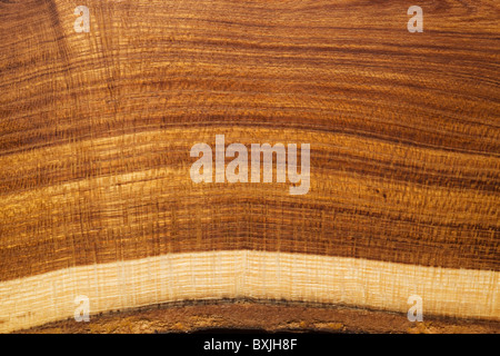 common laburnum, laburnum anagyroides Stock Photo - Alamy