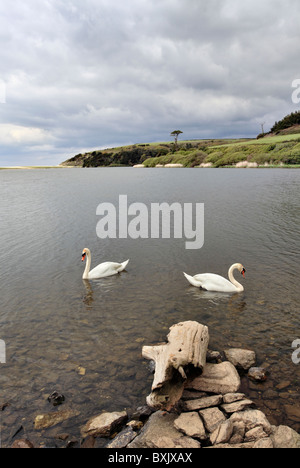 Loe Pool and Loe Bar, Cornwall, in evening light - John Gollop Stock ...
