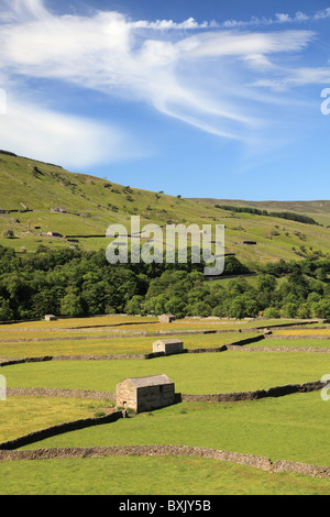 Hay Meadows at Gunnerside Swaledale Yorkshire Dales England Stock Photo ...