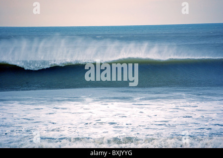 There are many types of ocean waves. Waves differ from each other in ...
