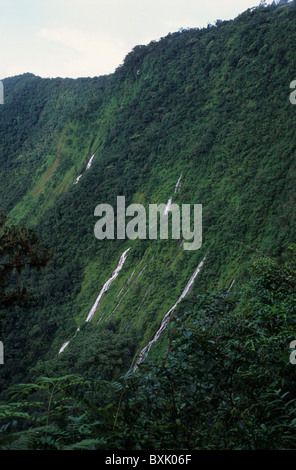 Iyadi Cascades.MOCA South Bioko Island EQUATORIAL GUINEA Stock Photo ...