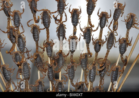 Food Market, Scorpion, Starfish, Bat, Beijing, China Stock Photo - Alamy