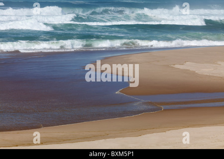 USA; Oregon Coast; Umpqua Dunes; Siuslaw National Forest Stock Photo ...