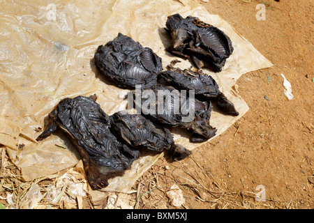 Bush meat at the market in Ouesso, Republic of Congo, Africa Stock ...