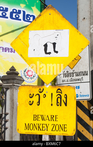 Beware: Monkey Zone Sign warning drivers about free running Crab-eating ...