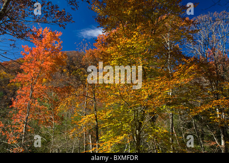 Autumn, Hwy 32 near Cosby, Tennessee Stock Photo - Alamy