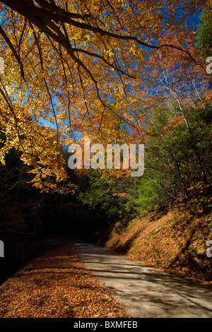 Autumn, Hwy 32 near Cosby, Tennessee Stock Photo - Alamy