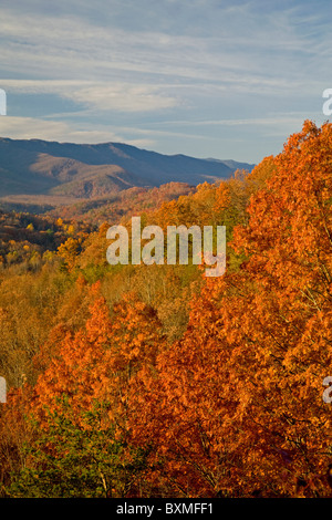 Autumn, Foothills Parkway, Cosby Tennessee Stock Photo - Alamy