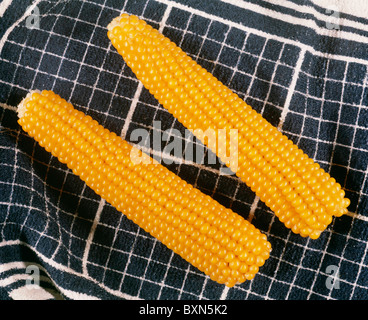 POPCORN, PEARL TYPE (ZEA MAYS EVERTA) / STUDIO Stock Photo - Alamy
