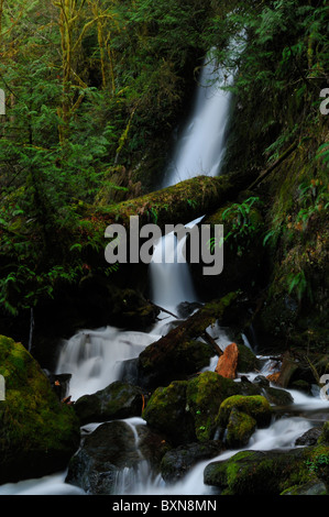 Merriman Falls. Olympic National Park, Washington, USA Stock Photo - Alamy