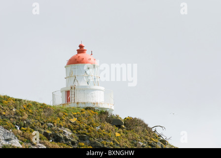 lighthouse at Taiaroa Head New Zealand Stock Photo - Alamy