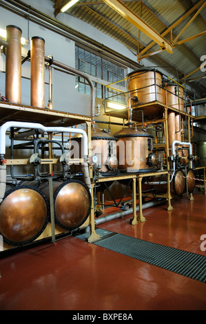 Van Ryan's Brandy Distillery in the Vlottenburg Valley near ...
