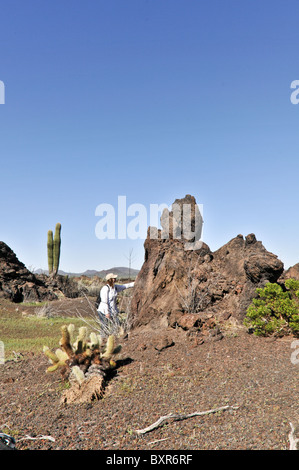 Rough shaped lava in El Pinacate Biosphere Reserve, Sonora, Mexico ...