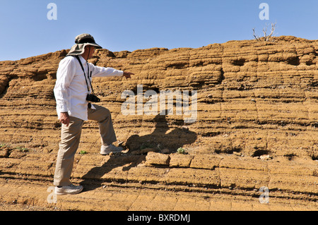 Tuff (volcanic ash) beds in rim of Cerro Colorado Crater, El Pinacate ...
