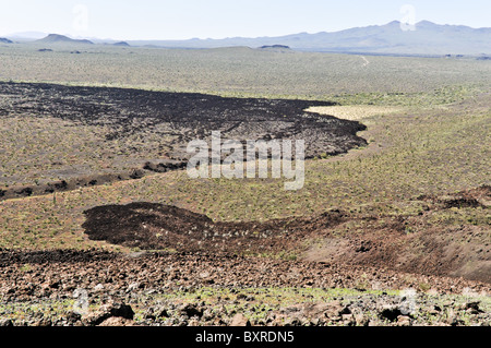 View of lava flow from side of El Tecolote Cinder Cone, El Pinacate ...