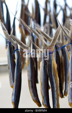 Flying fish being dried Stock Photo - Alamy