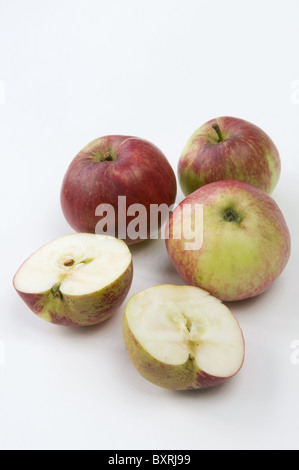 Close up of Worcester Pearmain apple with stalk Stock Photo - Alamy
