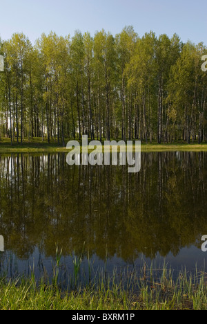 LATVIA - Vecpiebalga Stock Photo - Alamy