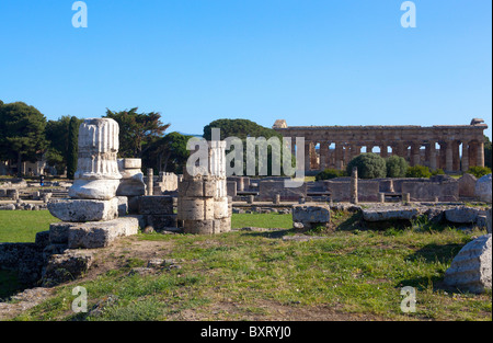 Roman comitium and the Temple of Mens Bona (Tempio di Mens Bona), also ...
