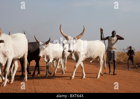 MUNDRI EAST COUNTY, SOUTHERN SUDAN, December 2010: Cattle herders of ...