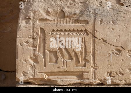 Hieroglyphs on a block at The Temple of Seti I at Abydos, Nile Valley ...