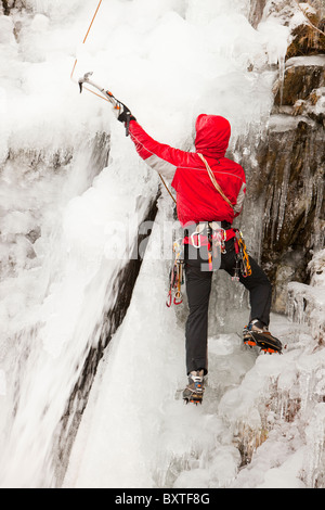 A climber on Fisher Place Ghyll above Thirlmere in the Lake District ...
