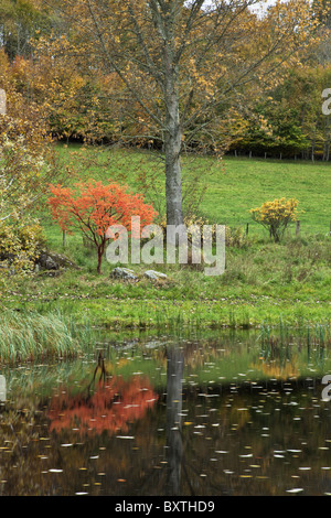 Scenic view, Scotland Stock Photo - Alamy