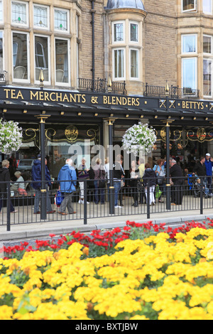 Bettys Café Tea Rooms / Traditional tearoom in Harrogate Yorkshire ...