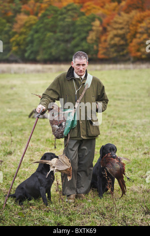 Game keeper with his 2 retriever hunting dogs in Scotland Stock Photo ...