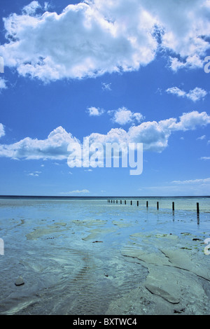 Tyrella Beach and Dune Conservation Area, Dundrum Bay Stock Photo - Alamy