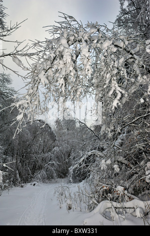 Snow covered mountains disappearing into white clouds, Spitsbergen ...