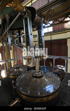 One of the pumps at work inside the British Engineerium Hove, an old ...