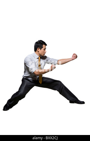 businessman in martial arts fighting stance Stock Photo - Alamy