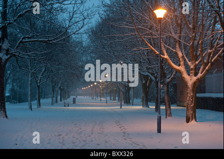 A tree lined avenue, Aberystwyth Wales UK in the snow, December 2010 ...