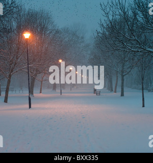 A tree lined avenue, Aberystwyth Wales UK in the snow, December 2010 ...