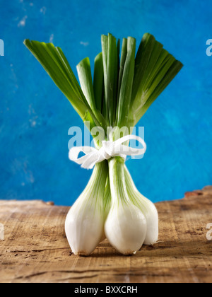 Fresh spring onions Stock Photo - Alamy