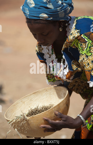 Guinea, Africa - A Fula Woman from Timbo Stock Photo - Alamy