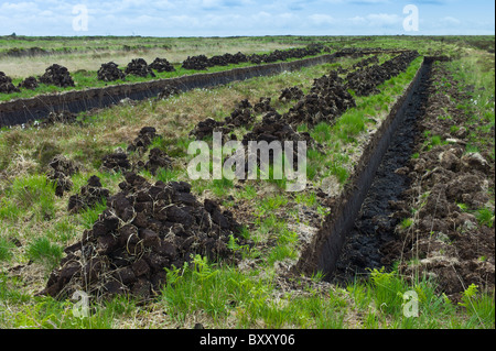 Boggy peatland. Blanket peat bog moorland on Kinder Scout, Derbyshire ...