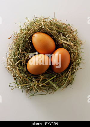 Burford brown organic chicken eggs in a nest Stock Photo - Alamy