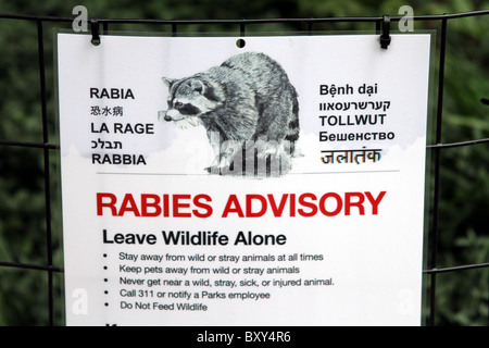 Rabies advisory warning sign in Central Park in New York, America Stock ...