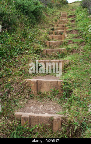 steps are on the hillside Stock Photo - Alamy