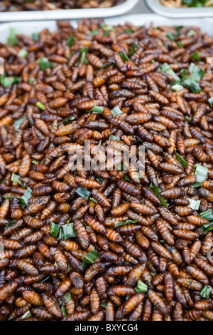 Silkworm Larvae on sale at Chatuchak Market Bangkok Thailand - An ...