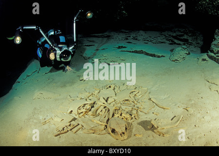 Skeletal Remains of Turtles in Turtle Tomb, Sipadan, Borneo, Malaysia ...