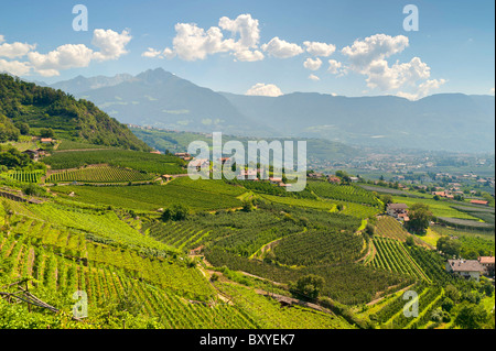 Italy, Trentino-South Tyrol, Alto Adige, Alto Adige, Etschtal, Terlan ...