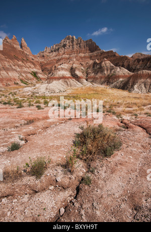Badlands National Park landscape with a bush in the foreground and a ...