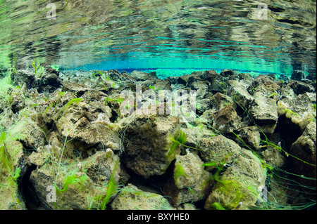 Silfra lagoon, Silfra crack, Thingvellir Lake, Iceland Stock Photo - Alamy